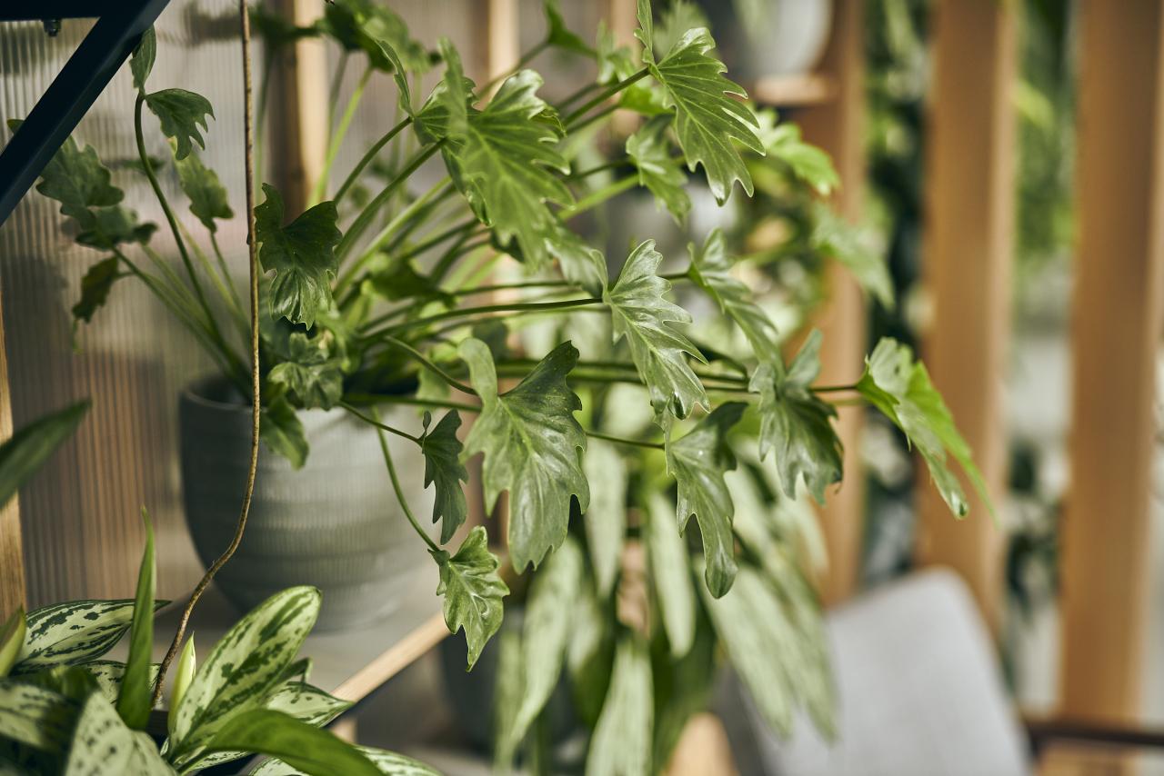 Unseen Studio - Shape Studio